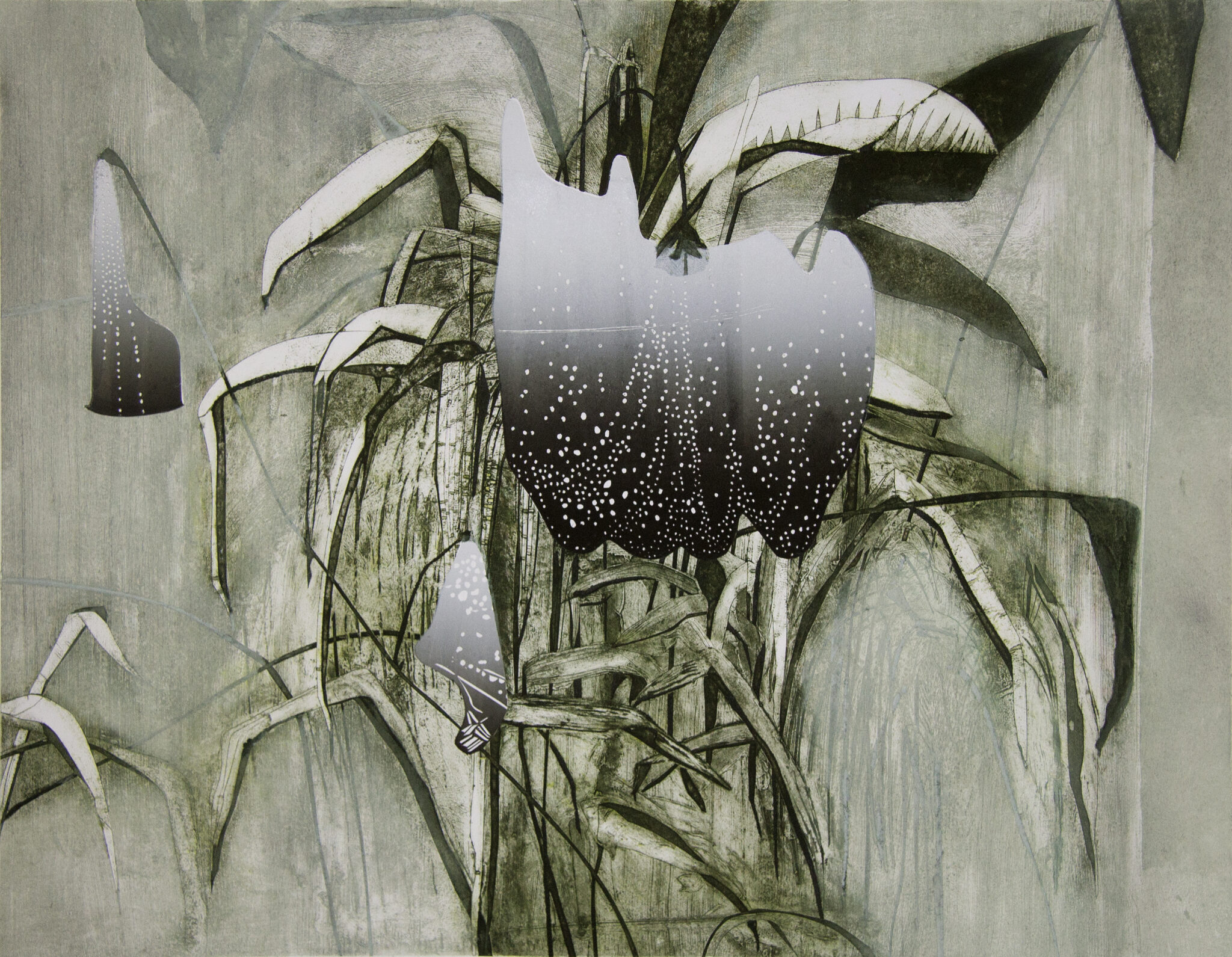 Katherine Jones RA – Collagraphs 2010-2022 - Rabley Gallery