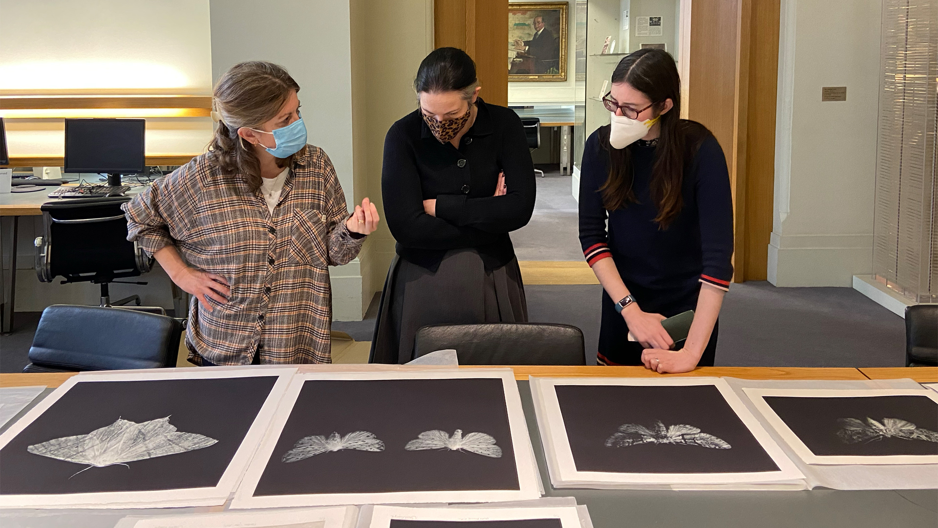 Sarah Gillespie’s ‘MOTH’ Series: Acquisition into the V&A - Rabley Gallery