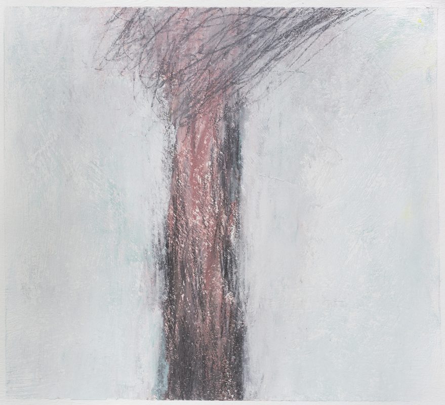 Susan Preston – Cracker - Rabley Gallery