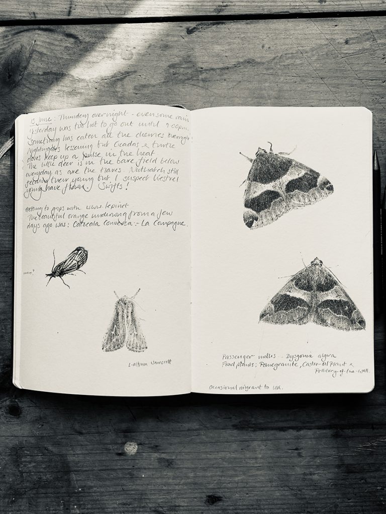 Sarah Gillespie – A Lament for Bordered Gothic – Print Launch - Rabley ...