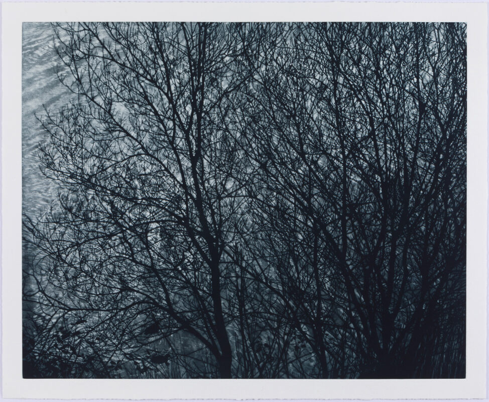 Sarah Gillespie – The Graces - Rabley Gallery