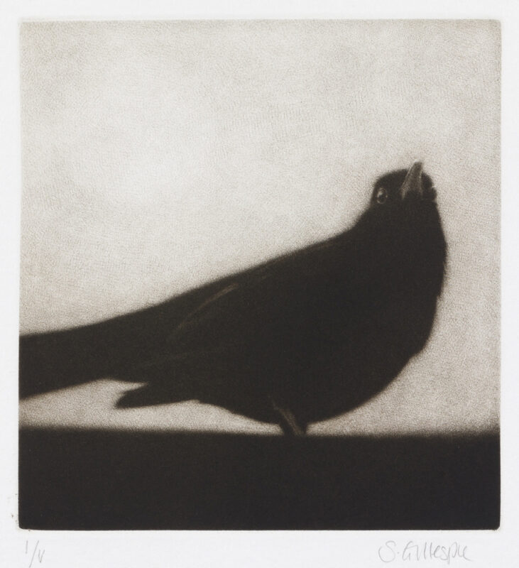 Sarah Gillespie - Rabley Gallery