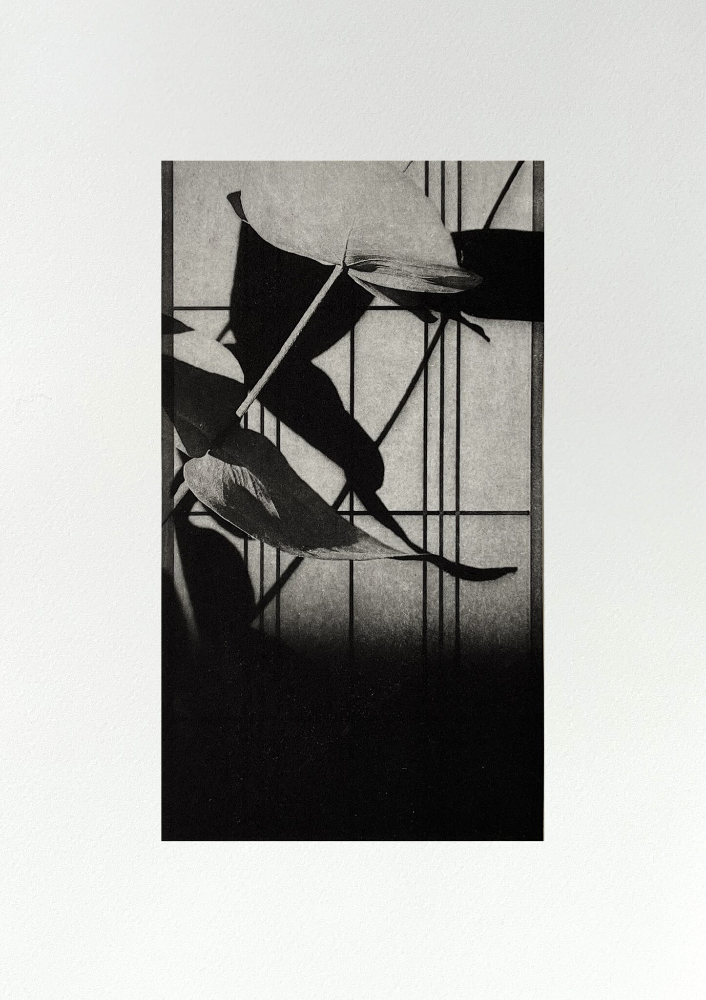 Amy-Jane Blackhall – Shoji 2 - Rabley Gallery